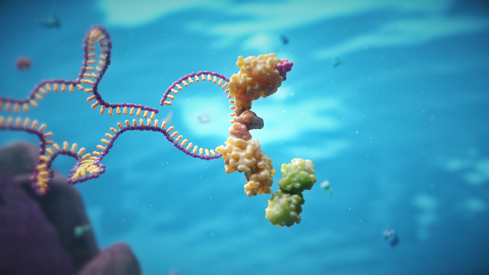 Non-Coding RNAs therapeutic potential and NextRNA innovative solutions
