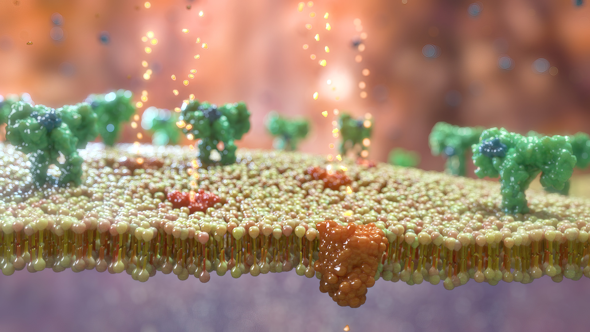 Benefits of Using Medical Animation