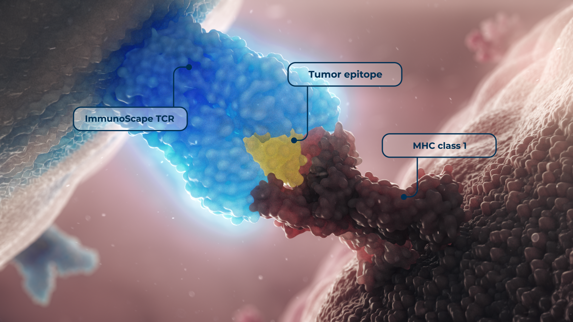 BioTech MOA Video: TCR Engineered T-Cells in Action