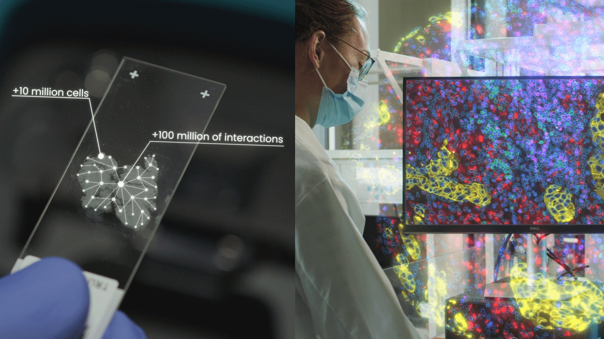 Visualizing Spatial Biology