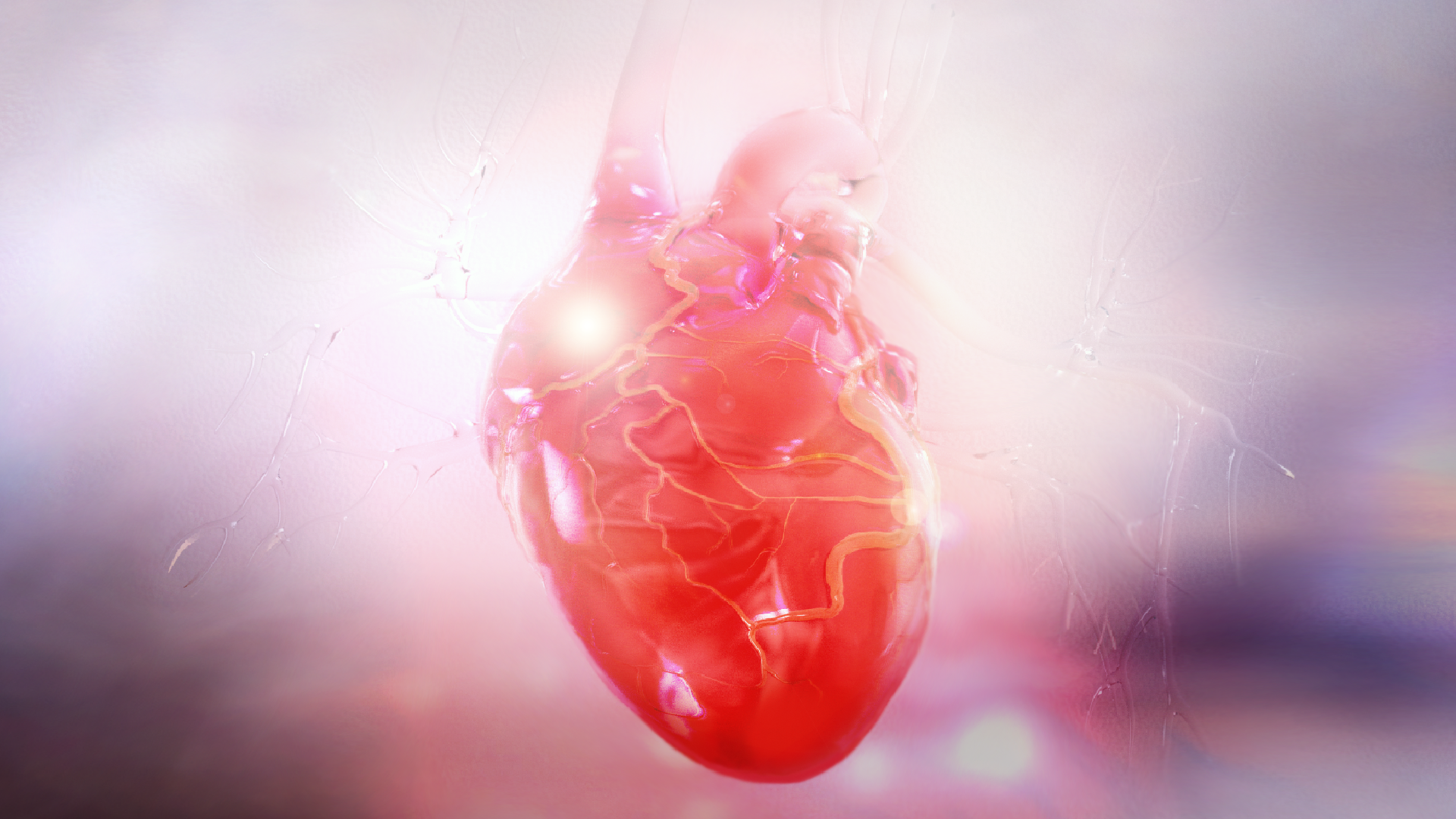 World Heart Day 2023
